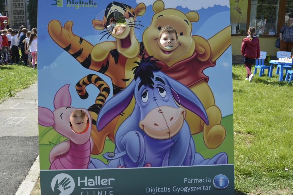 digi004 | Opinie de Carei