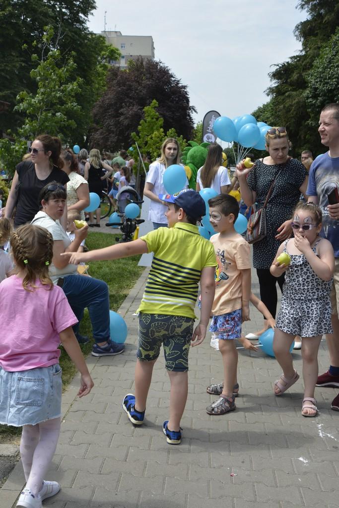 digi111 | Opinie de Carei